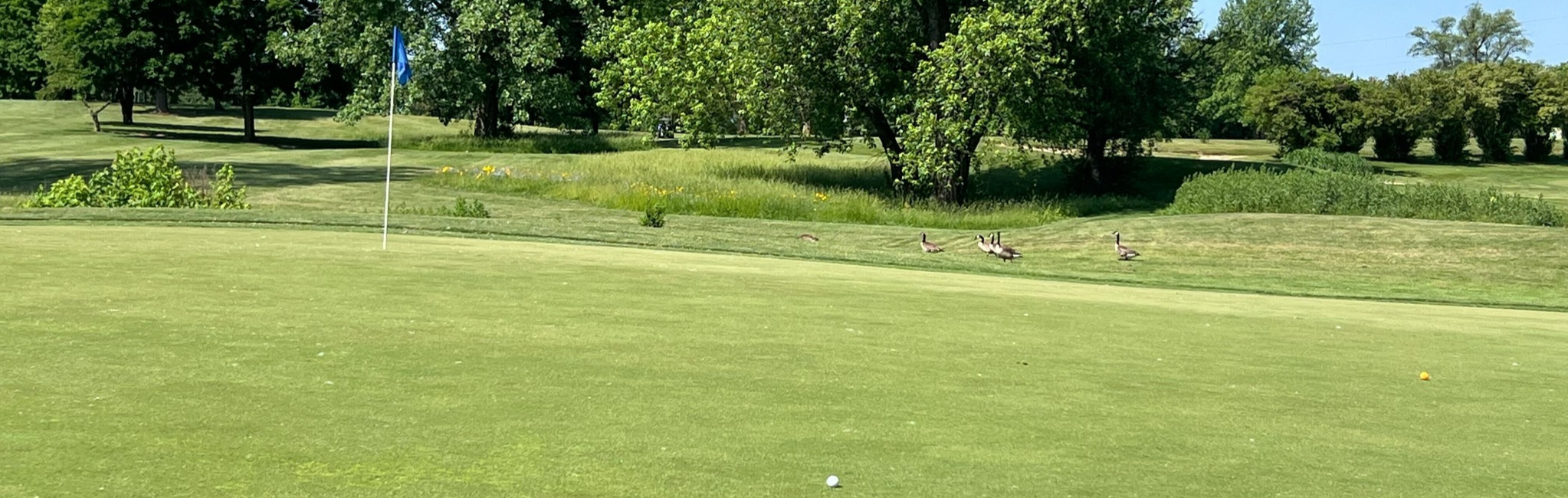 Home - Crestview Golf Club